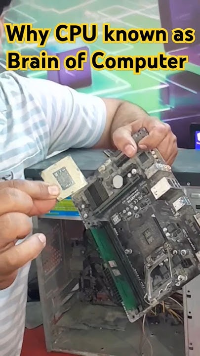 Why CPU known as Brain of Computer #computer #cpu #computereducation #computerknowledge - YouTube
