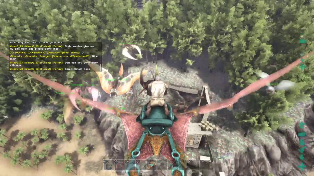Evolved Fights Youtube