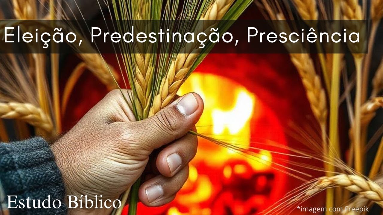 Live de estudo: Eleição, Predestinação, Presciência - YouTube