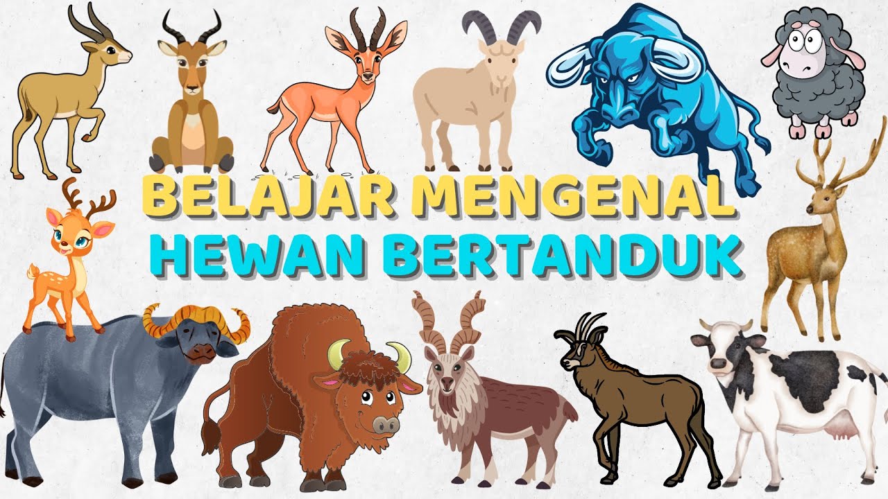 BELAJAR MENGENAL NAMA HEWAN BERTANDUK BAHASA INDONESIA DAN BAHASA ...