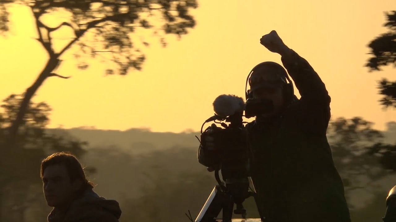 A day in the life of a wildlife cameraman - YouTube