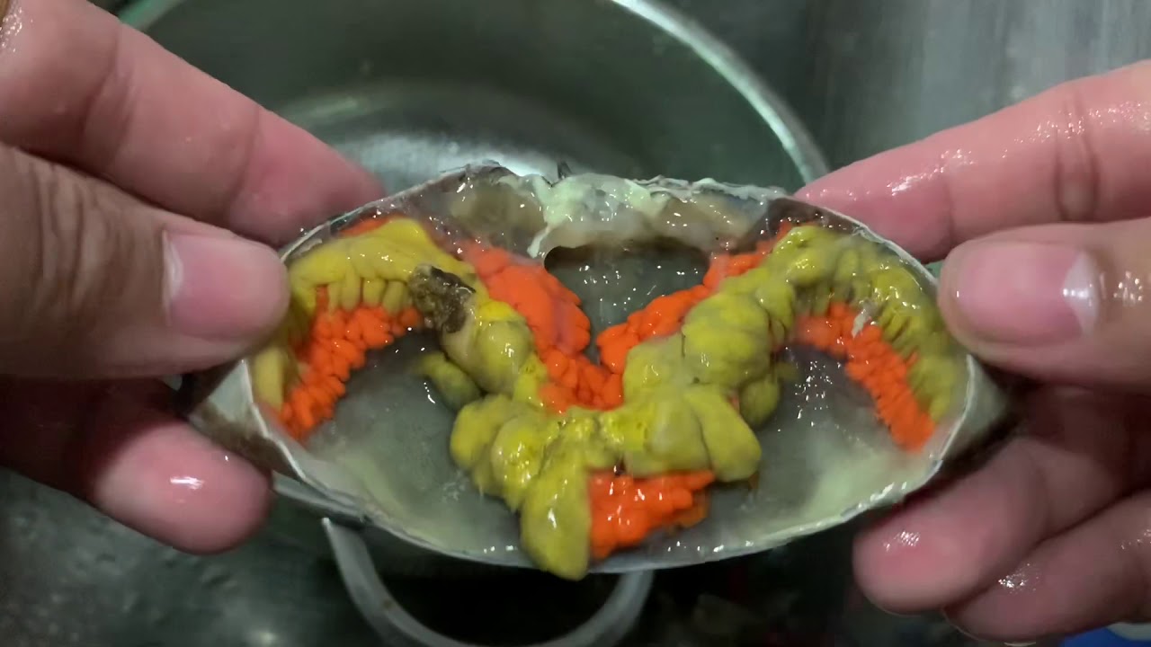 Pickled Crab ทำความสะอาดปู - YouTube