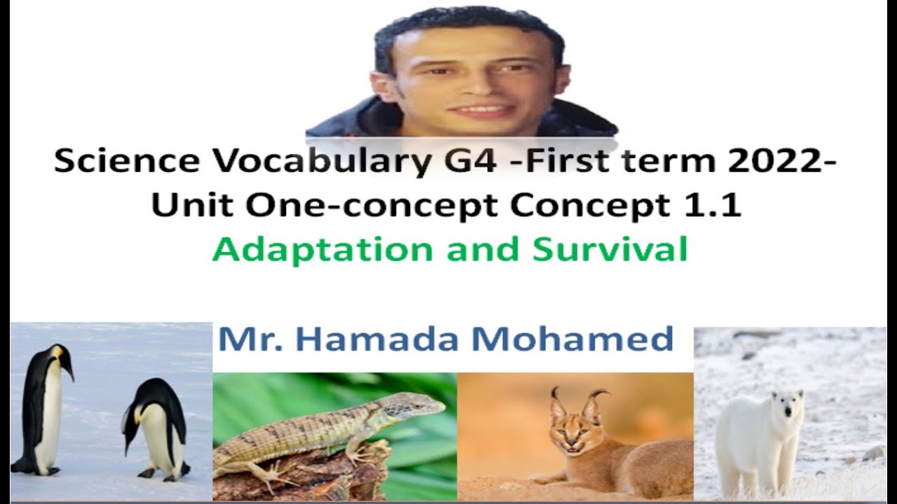 Science Vocabulary G 4 -First term 2022- Unit One- Concept 1.1 ...