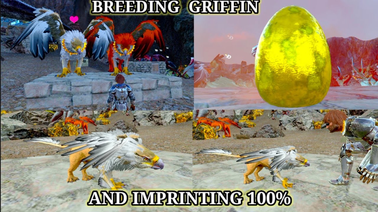 BREEDING GRIFFIN AND GOT A CUTE BABY LIKE FATHER AND IMPRINTING 100% ...