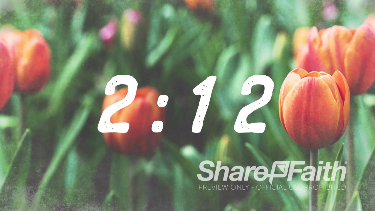 Easter Background: Spring Forward Tulip Countdown Video - YouTube