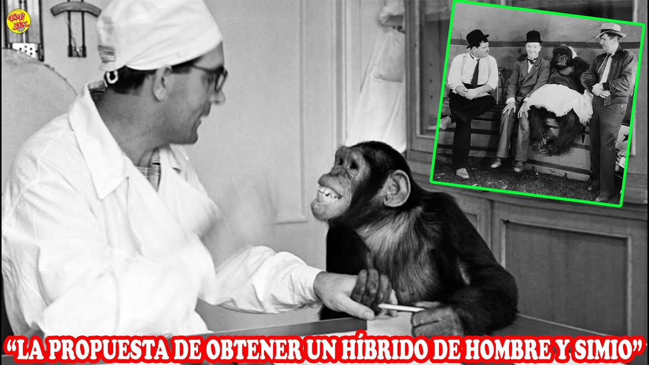 ESTE CIENTÍFICO INTENTÓ CRUZAR UN HUMANO Y UN SIMIO Y ESTE FUE EL ...