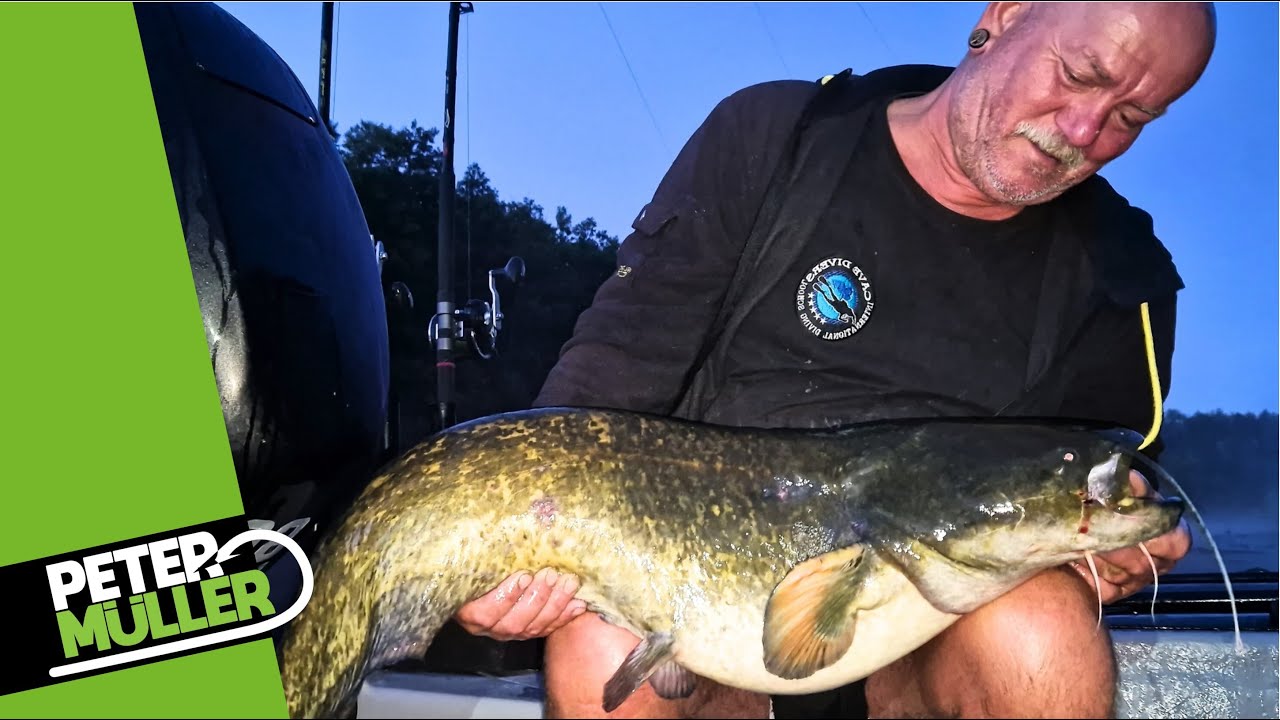 Welsangeln in der Heimat - Werden wir den ersten Wels fangen? #waller # ...
