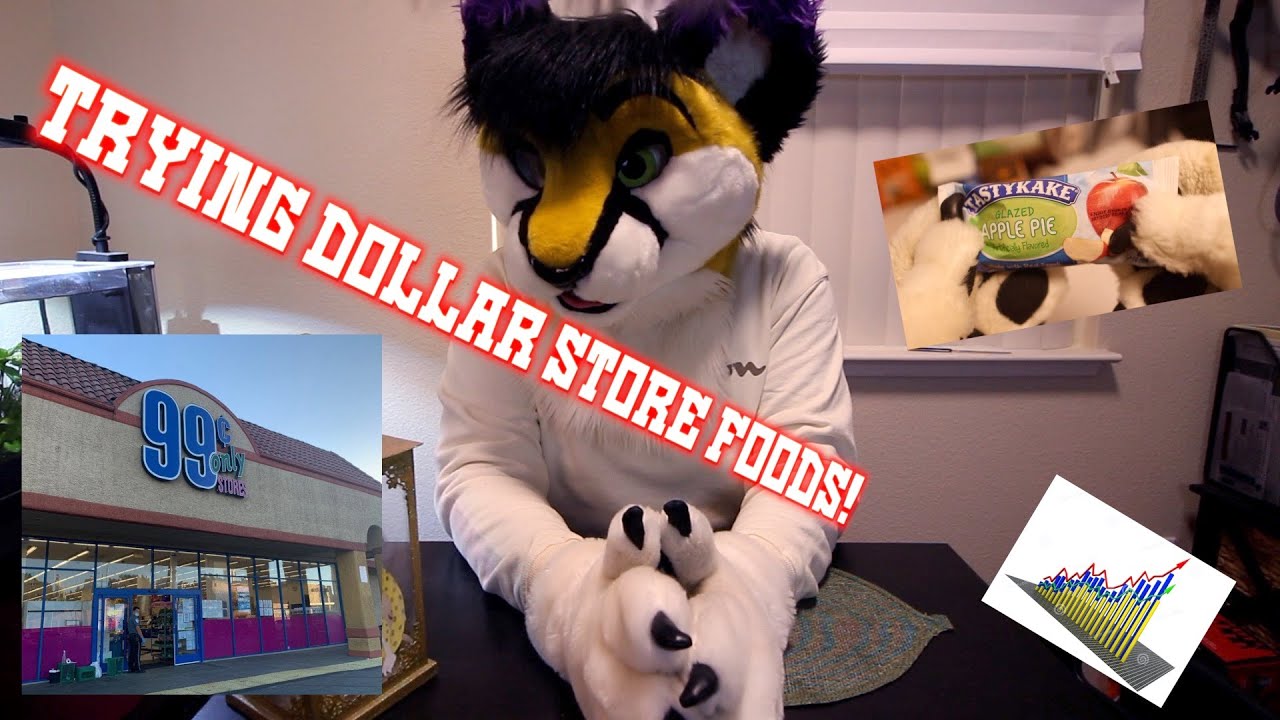 MEAL ON A BUDGET! - Furry tries DOLLAR STORE food! - YouTube