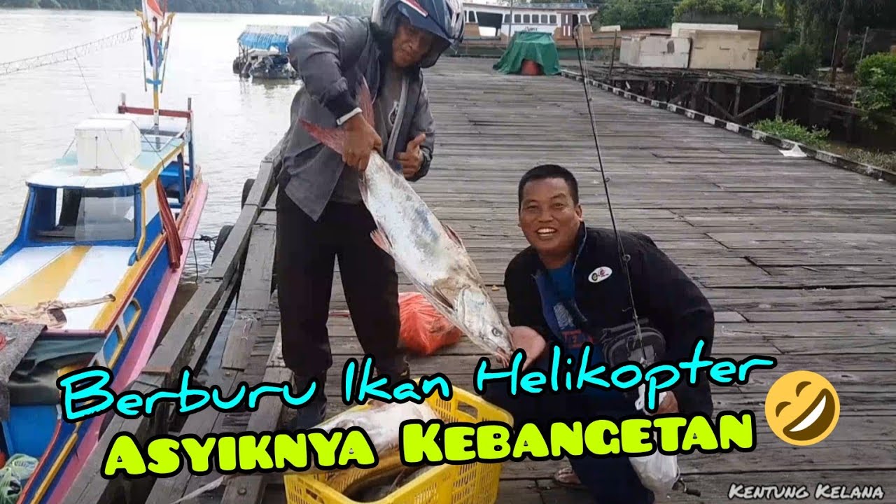 Asyiknya Berburu Ikan Helikopter || MANCING OTEK - YouTube