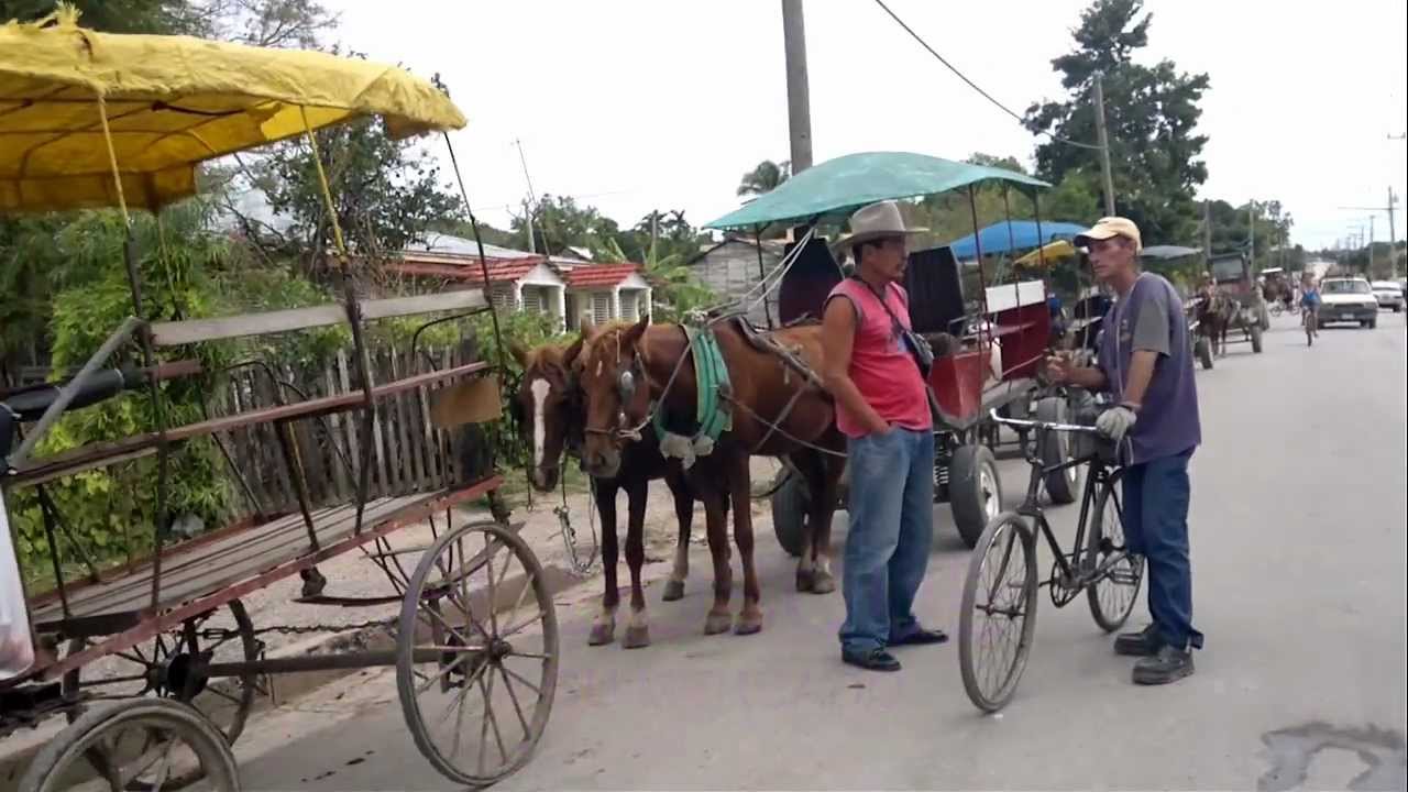 BANES CUBA EL BOSQUE.HD - YouTube