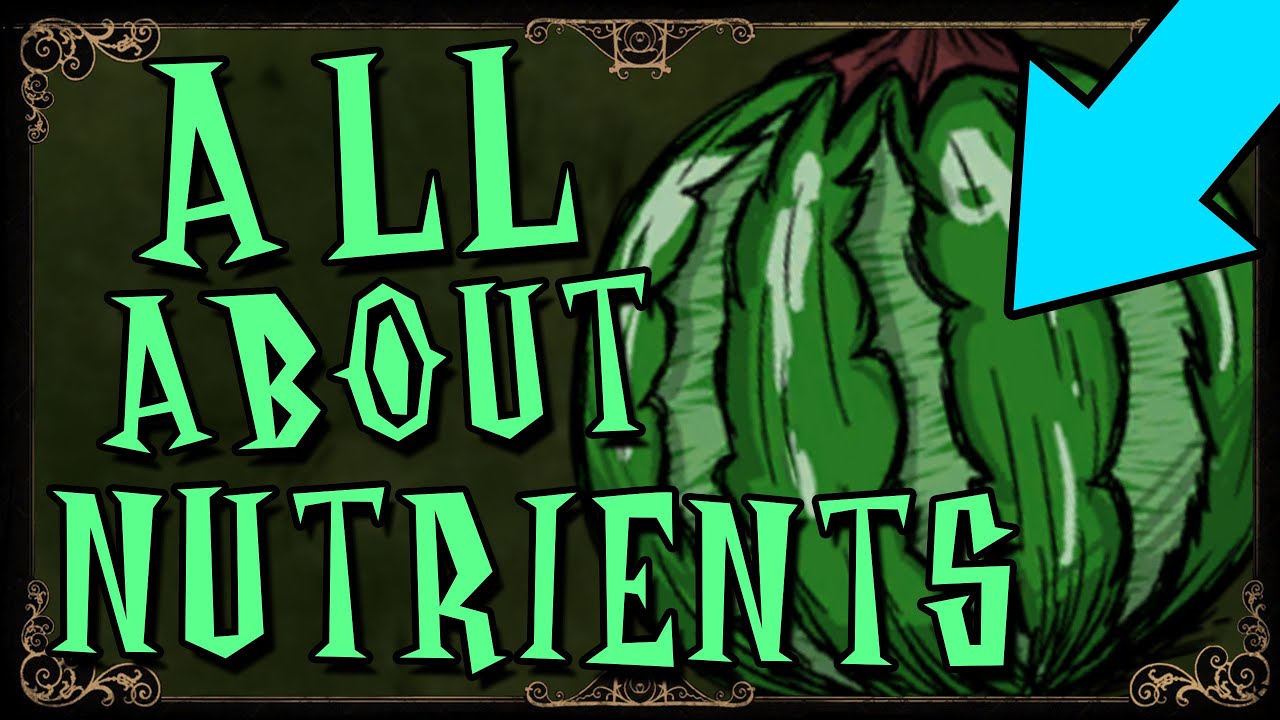 THE ULTIMATE NUTRIENT GUIDE | Don't Starve Together Guide - YouTube