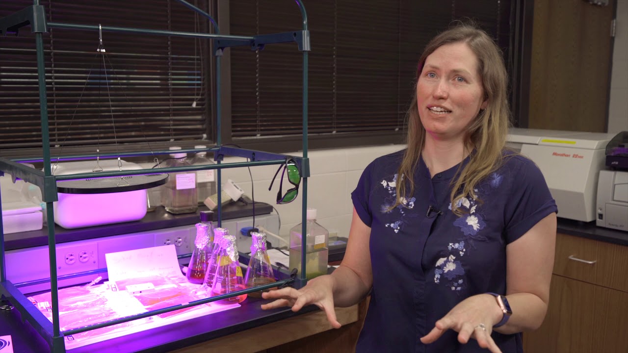 Discover Biotechnology - NASA Algae results - YouTube