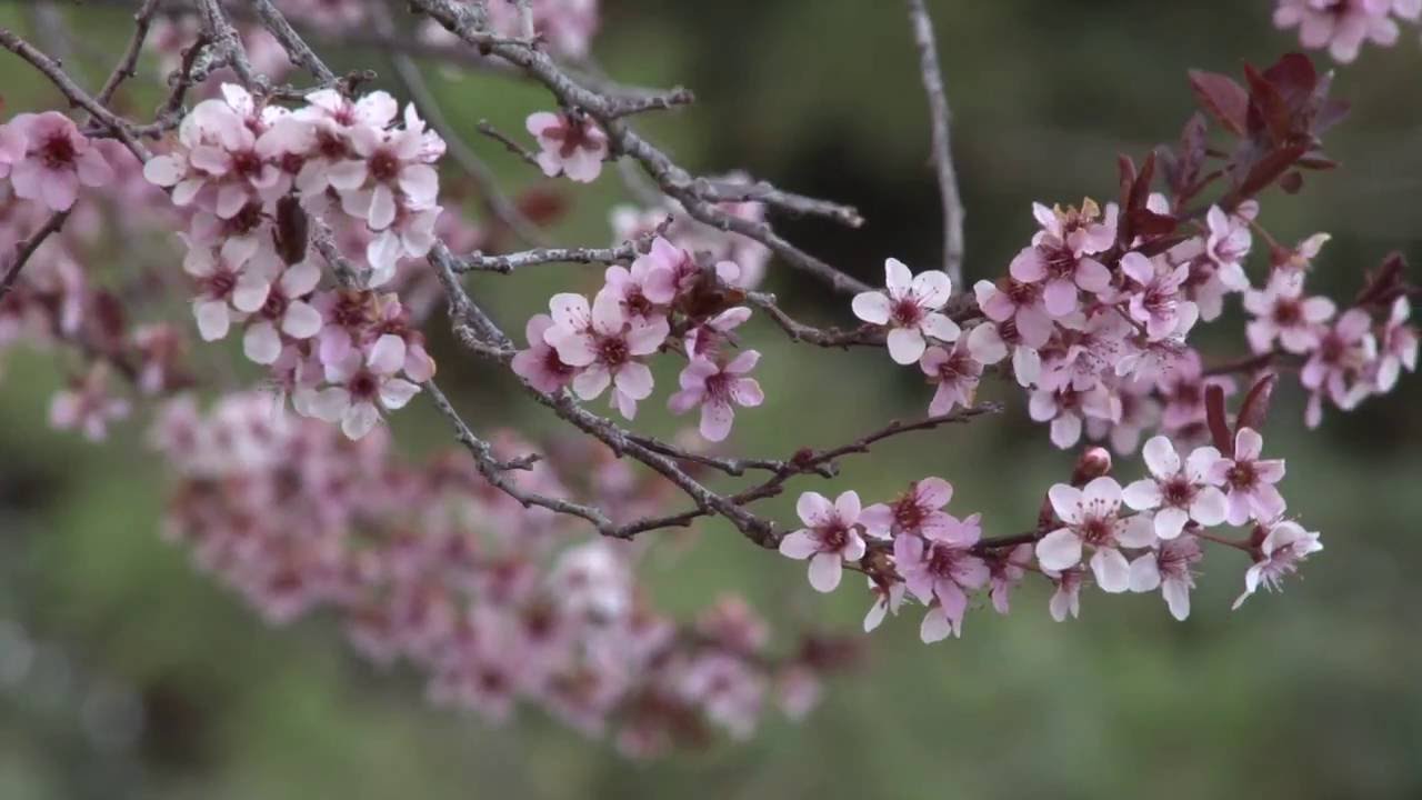 Megan Sexton: Intro Video for The Creative Mind Group Toronto 2016 ...