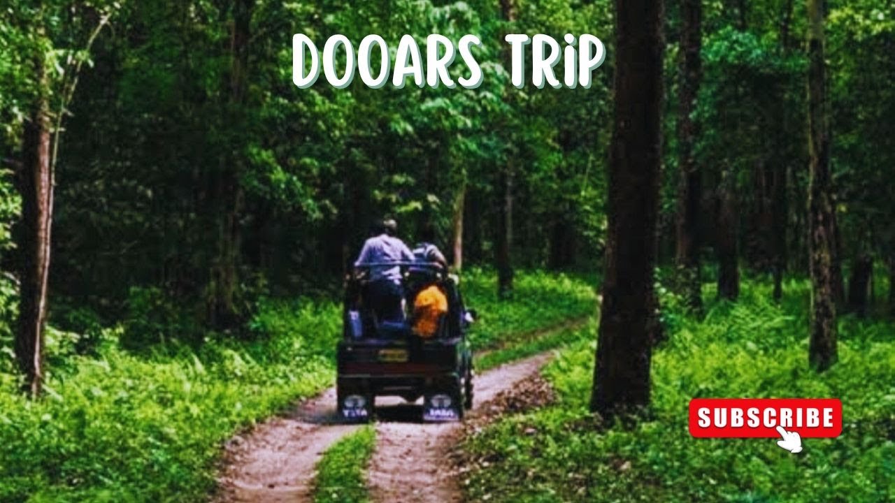 DOOARS TRIP | ONE OF THE DENSEST FOREST IN INDIA| NORTH EAST TRIP ...