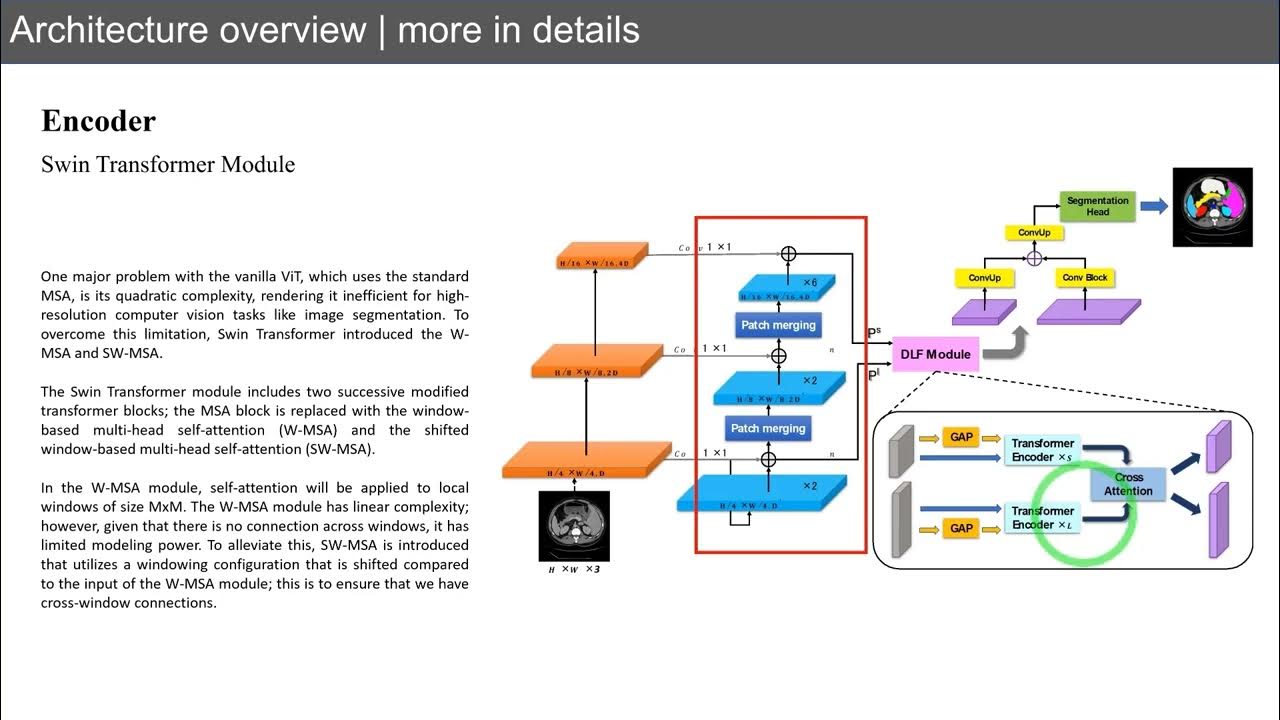 HiFormer: Hierarchical Multi-scale Representations Using Transformers for Medical Image ...