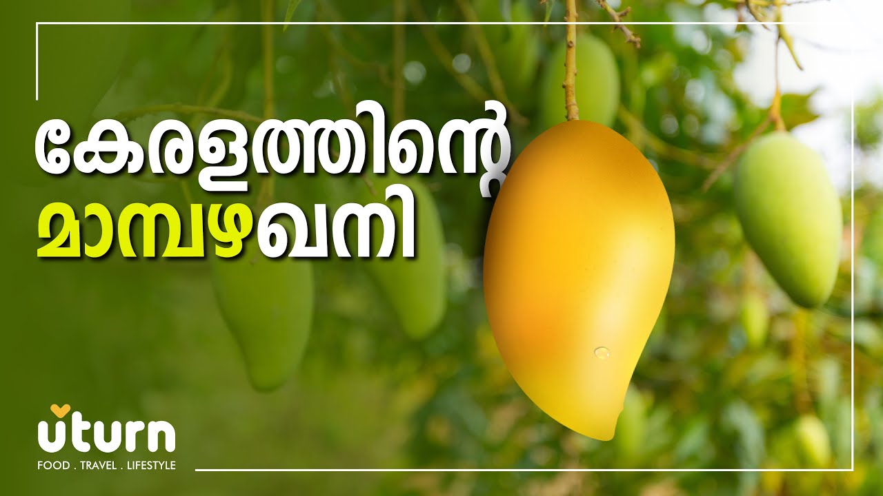 Muthalamada | Mango city | Palakkad - YouTube