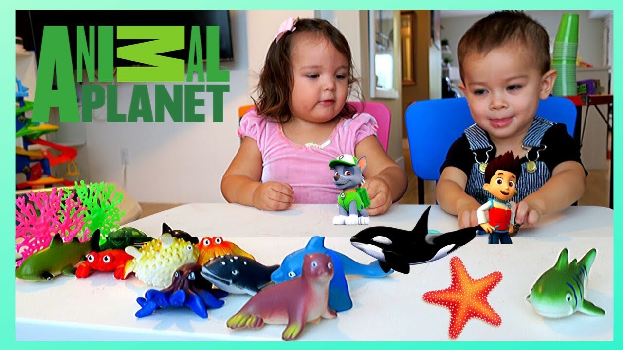 Ayah and friend Josef unbox and play the Animal Planet Ocean Adventure ...