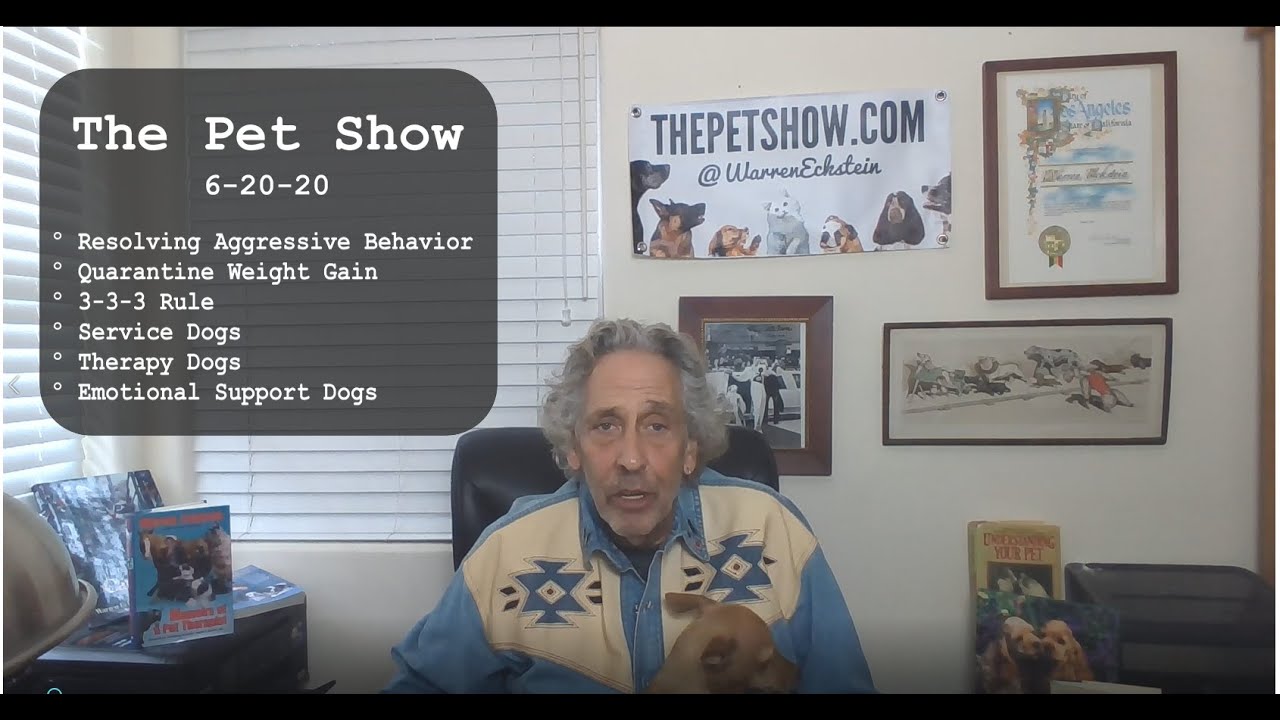 The Pet Show Update 6-19-20 - YouTube