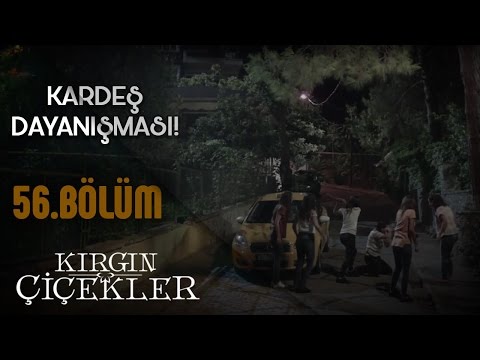 Kırgın Çiçekler 56.Bölüm - Kız Kardeş Dayanışması