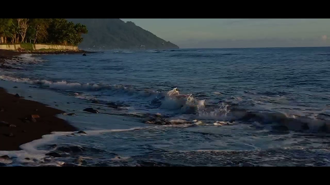 Sound of Waves and Bird Chirping Wave Relaxation - YouTube