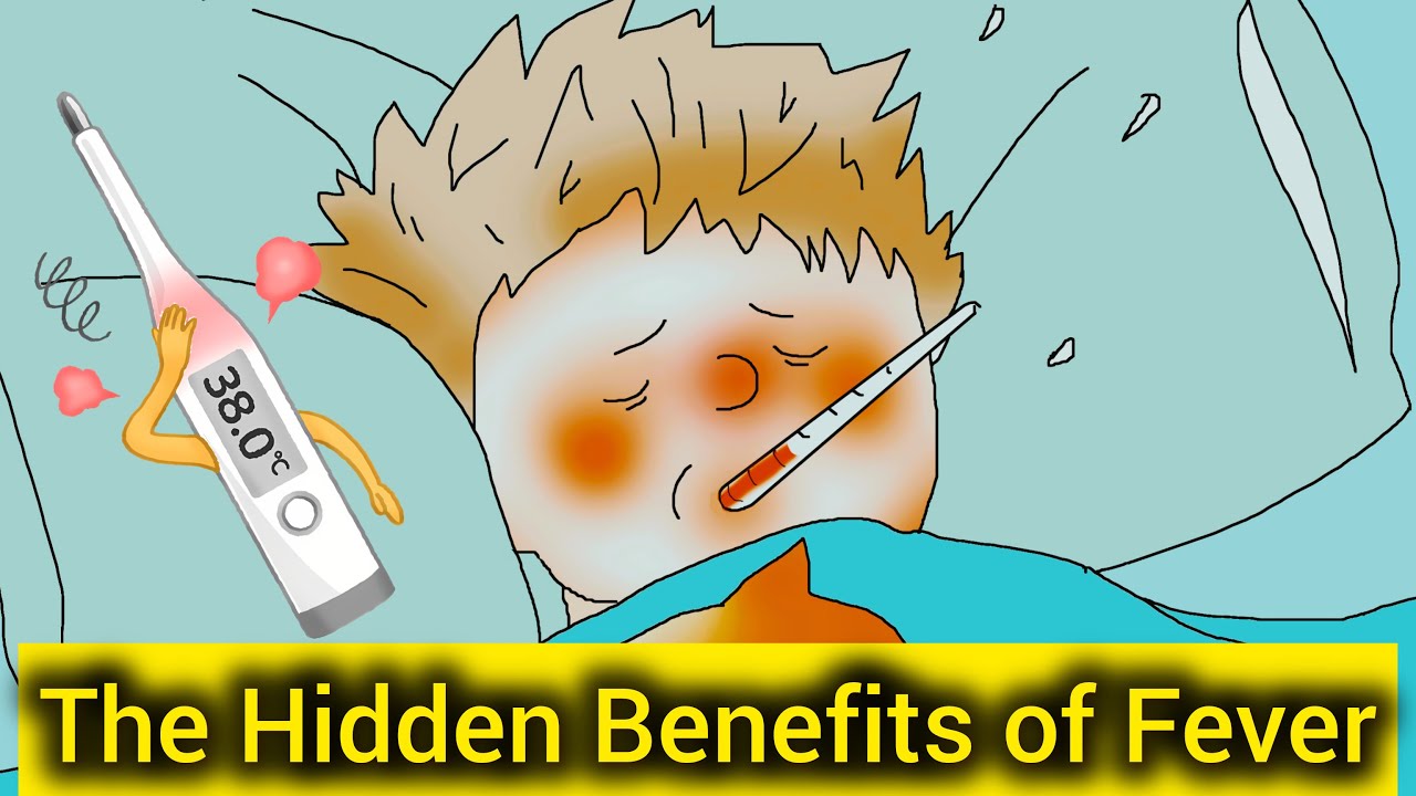 Hidden Benefits of Fever| Why Fevers Feel Terrible But Are Absolutely ...