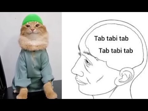 Viral ‘Tab Tabi Tab’ meme has a 1,200-year-old history! - YouTube