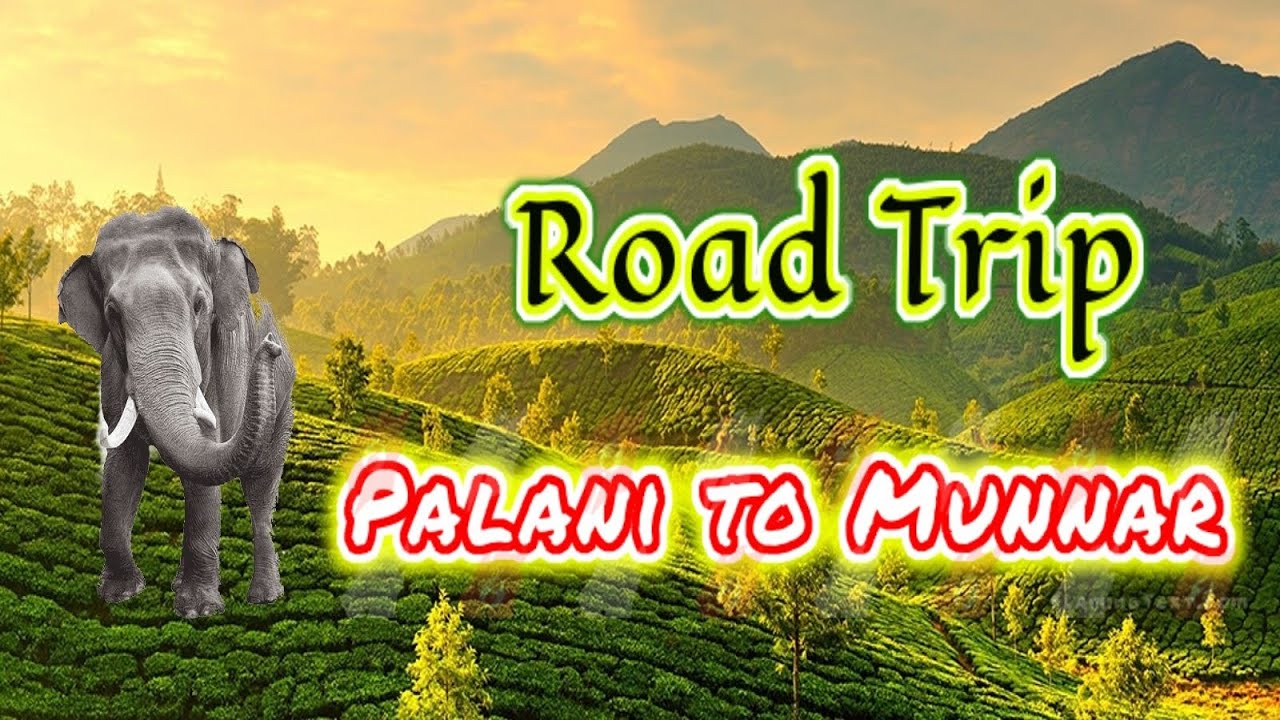 Road Trip from Palani to Munnar…Elephant on the way…Just got saved from ...