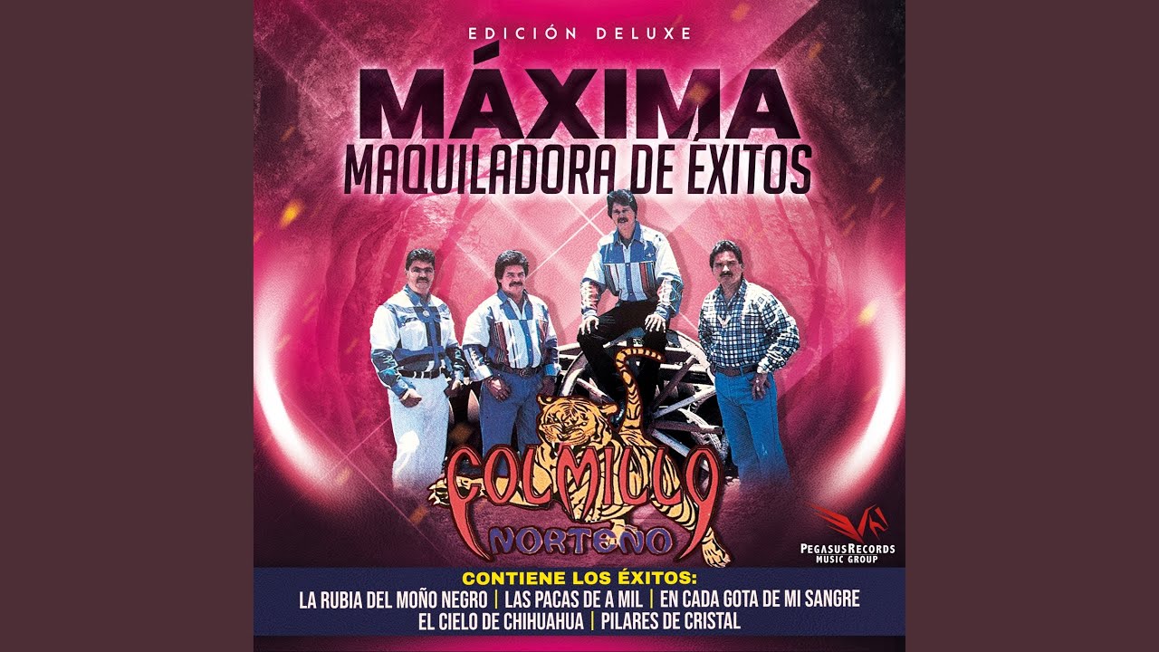 Las Pacas de Amil - YouTube Music