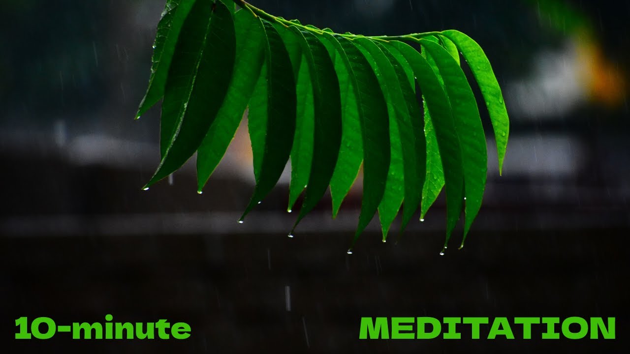 10-minute Meditation with sounds of the rain 3 - YouTube