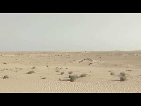 SNIM Train- 3/4: Landscape