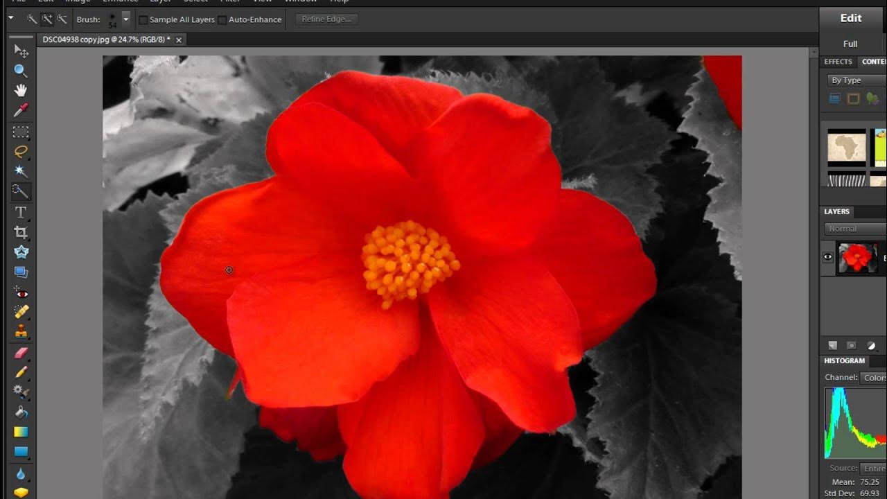 Photoshop Elements 9 and Photoshop Cs5-Converting the background to ...