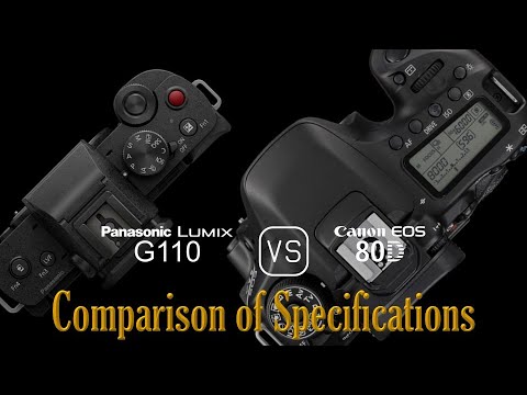Panasonic Lumix G110 vs. Canon EOS 80D: A Comparison of Specifications ...