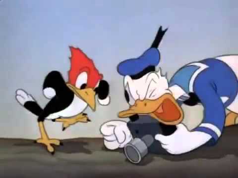 Pato donald La camara de Donald Dibujos animados de Disney espanol ...