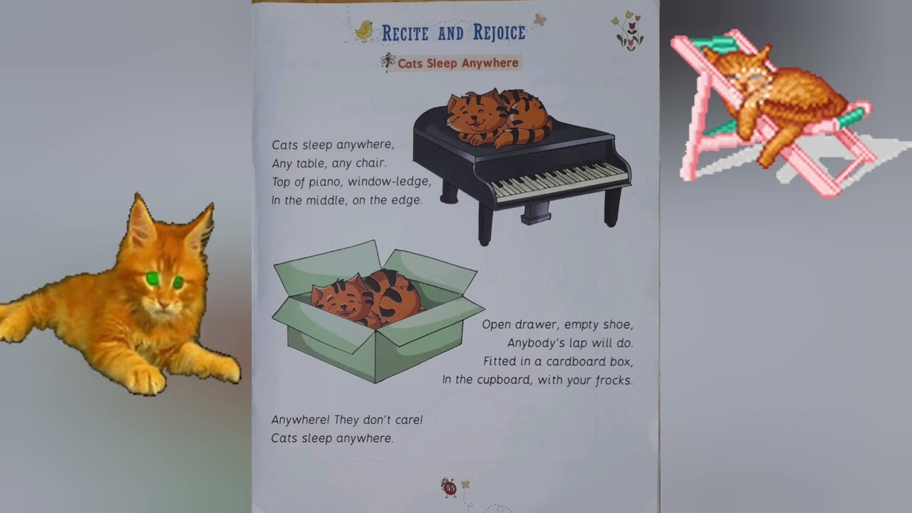 Cat Poem By Eleanor Farjeon Explanation And Ysis - Infoupdate.org