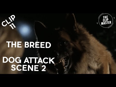 Clip # 11 - The Breed Movie Clip - Dog Attack Scene 2