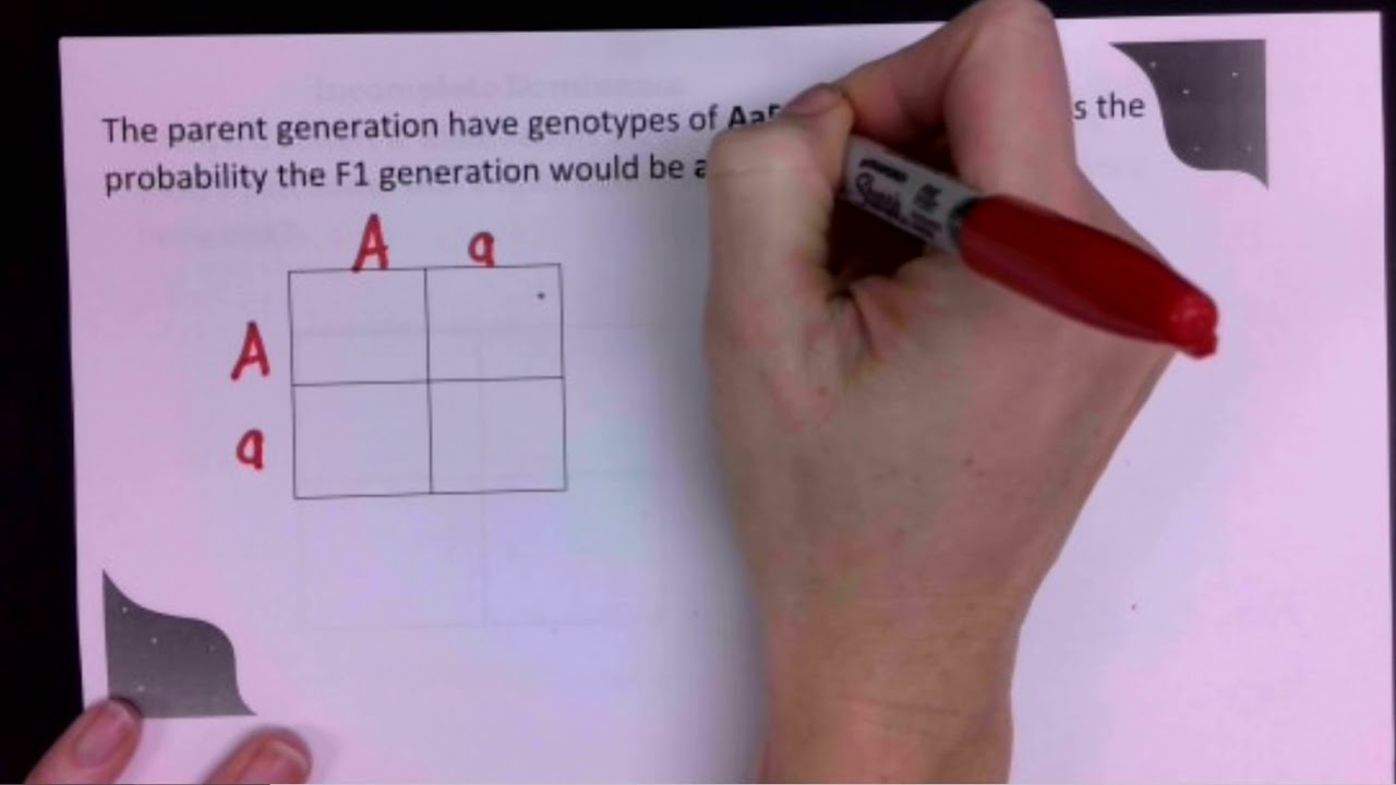 Genetics Tutorial - YouTube
