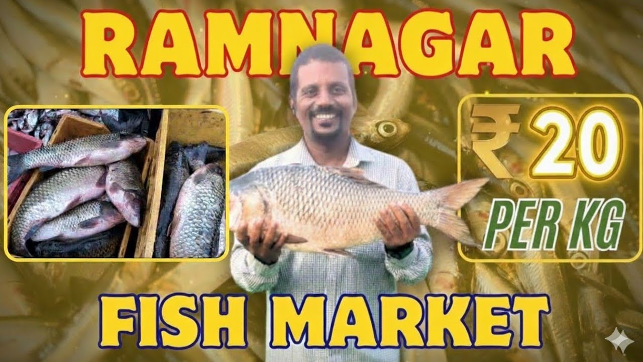 తక్కువ ధరకే రకరకాల చేపలు Vlog | Massive Ramnagar Fish Market Hyderabad ...