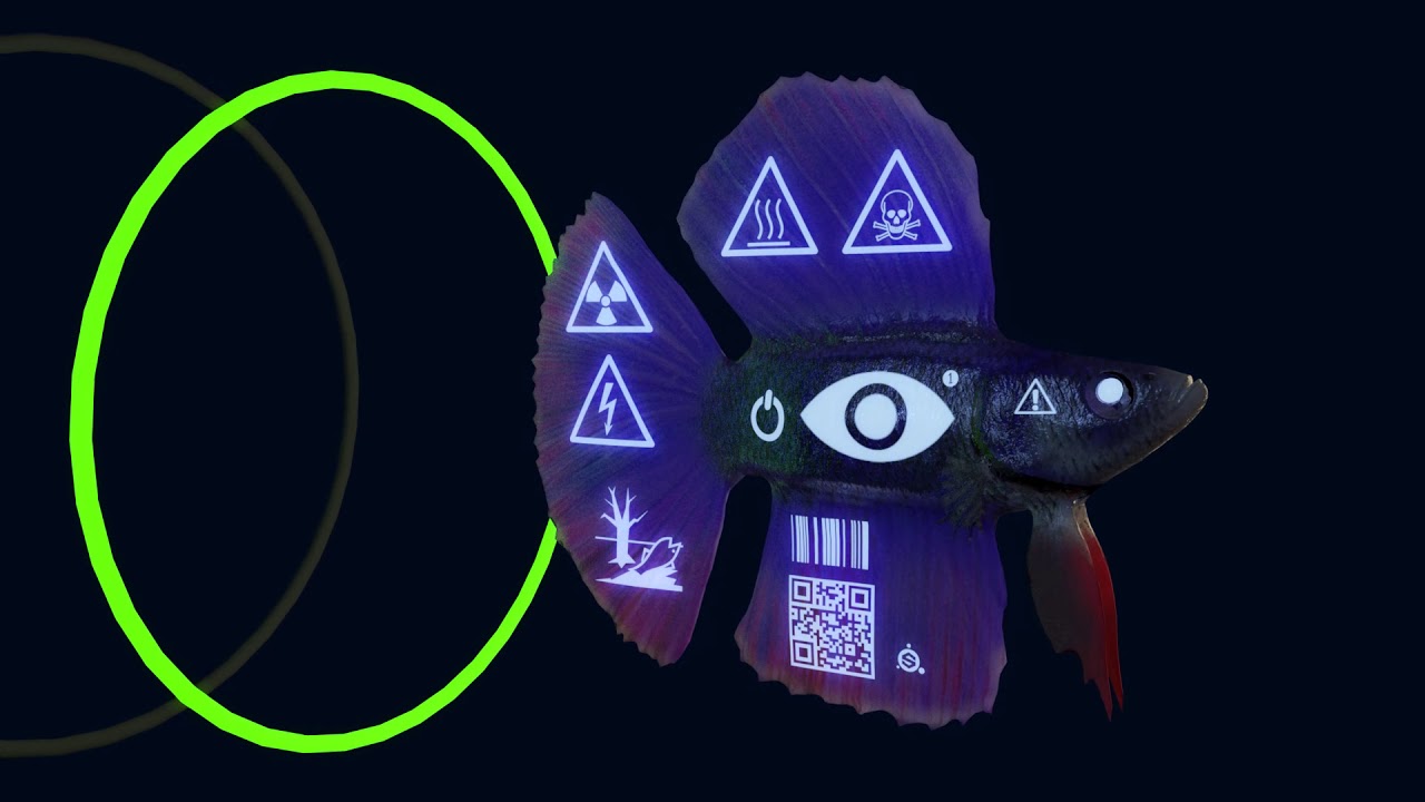 Fish Glow Animation - YouTube