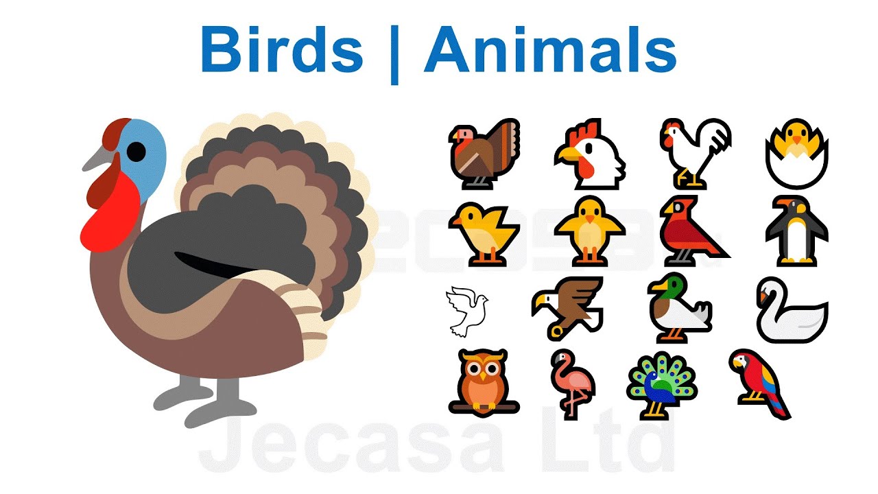 Emoji Meanings Part 13 - Birds | Animals | English Vocabulary - YouTube