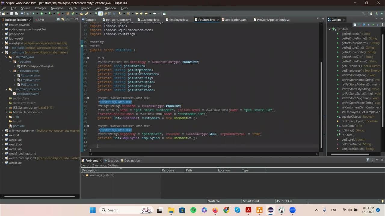 Promineo Tech Week 13 Coding Assignment - YouTube