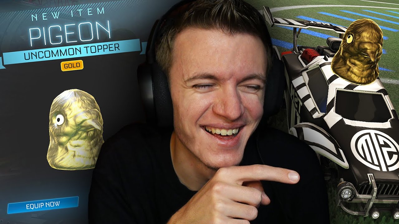 NEW *GOLD* PIGEON TOPPER IN ROCKET LEAGUE! - YouTube