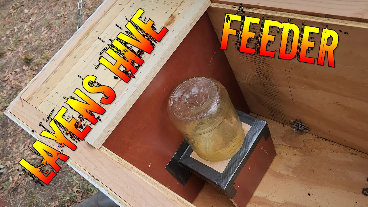 One of a Kind Layens Hive Feeder - YouTube