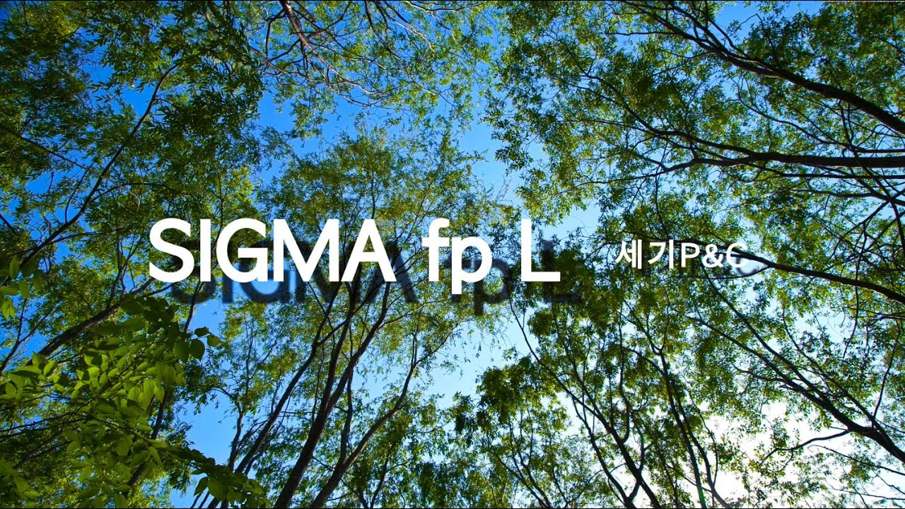 SIGMA fp L 4K Test 2 - YouTube