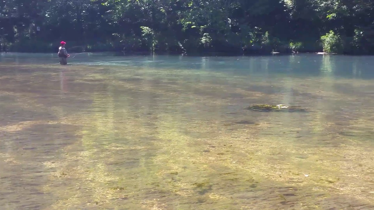 Fly fishing Bennett springs state park - YouTube