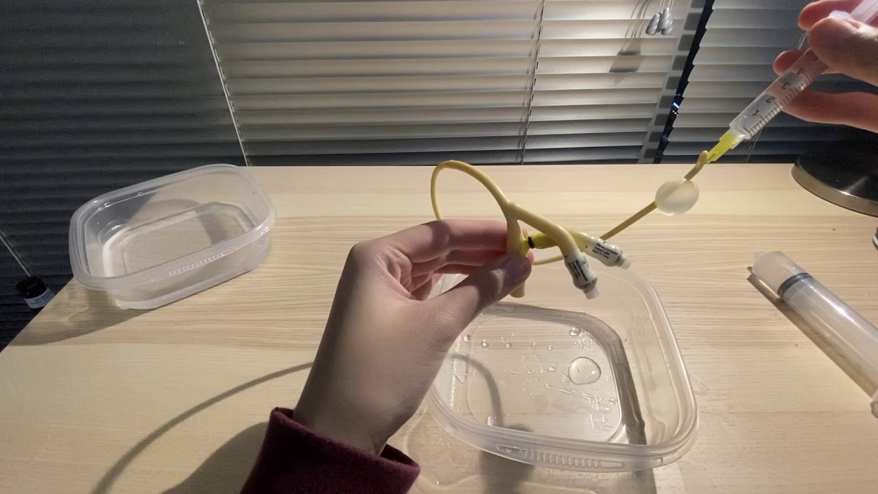 Biomimetic Catheter - YouTube