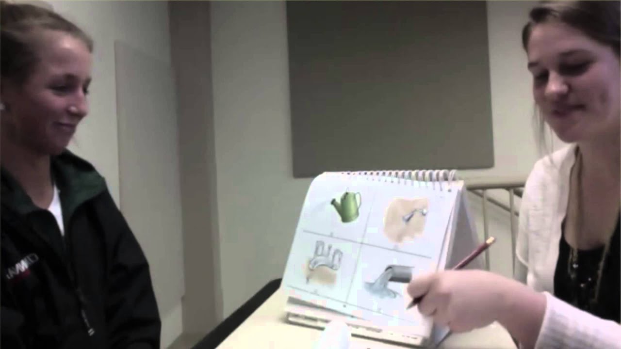 PSA PPVT-4 - YouTube