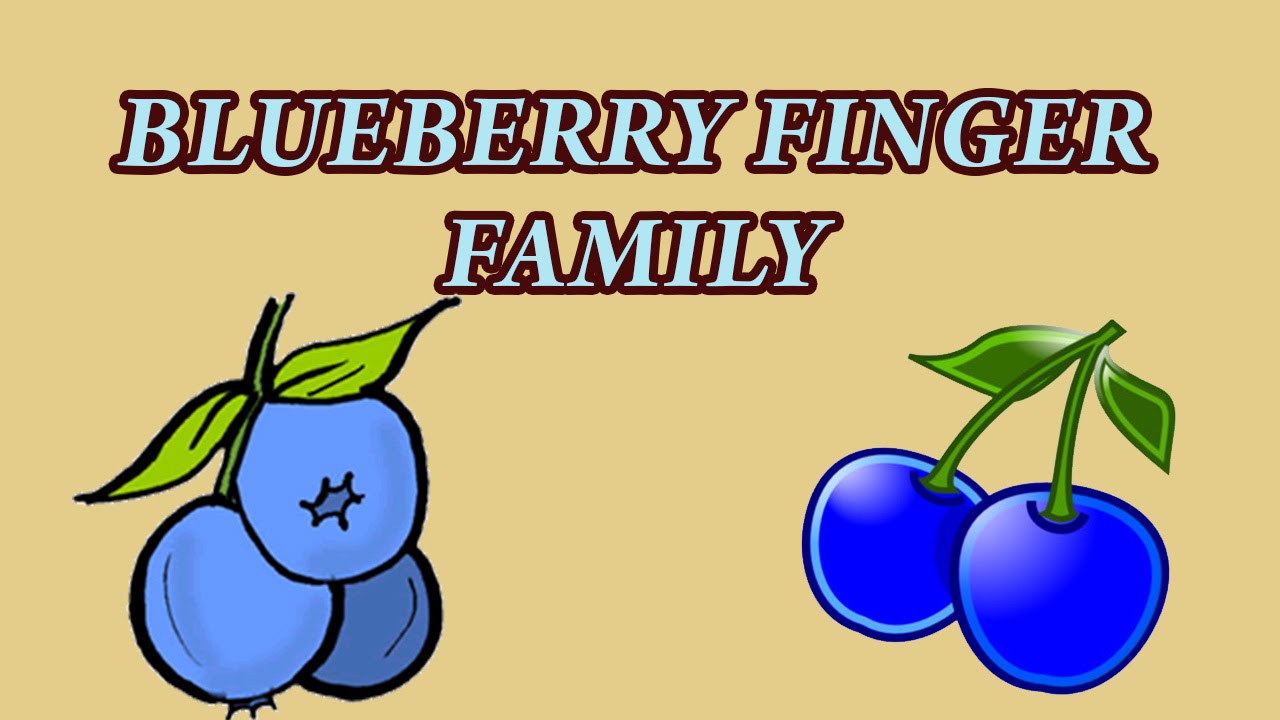 Blueberry Finger Family | Fruit Finger Family - YouTube