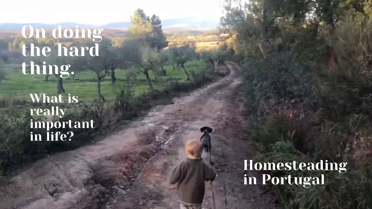 On doing the hard thing - Building our homestead in Central Portugal ...