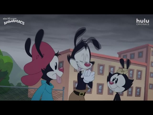 Revelan Primer Avance Animaniacs En Reboot Tras Su Final 1998