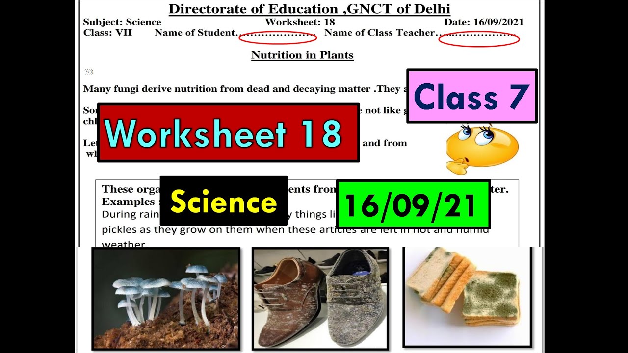 class 7th science worksheet 18 (16/9/21) 16 september science worksheet ...